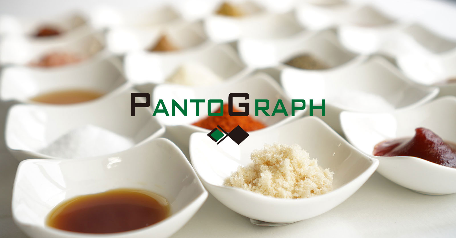 Salt │ 株式会社 PANTOGRAPH（パンタグラフ）｜PANTOGRAPH